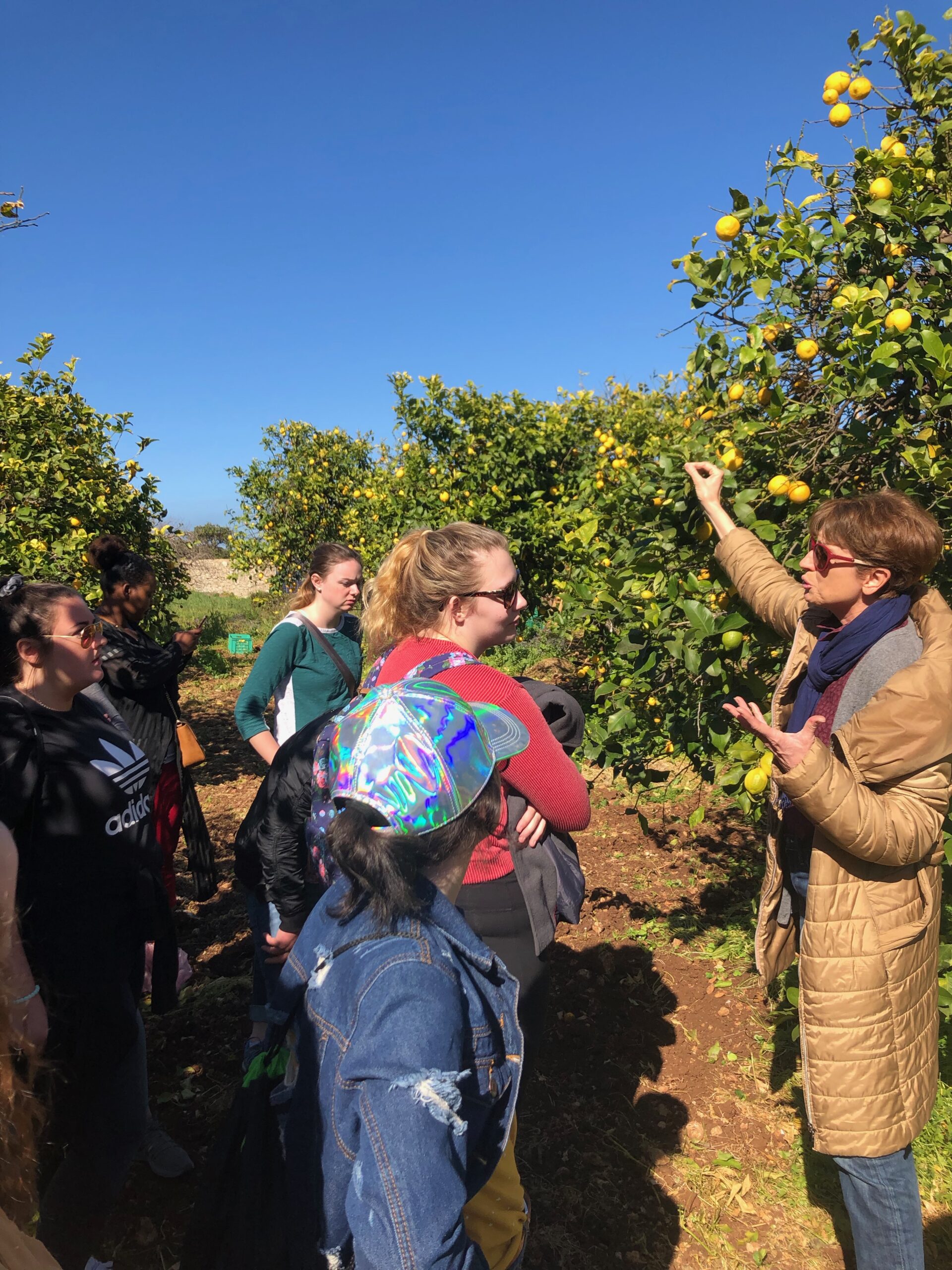 Cultivating Global Citizens in Sicily: Syracuse Academy Launches Its ...